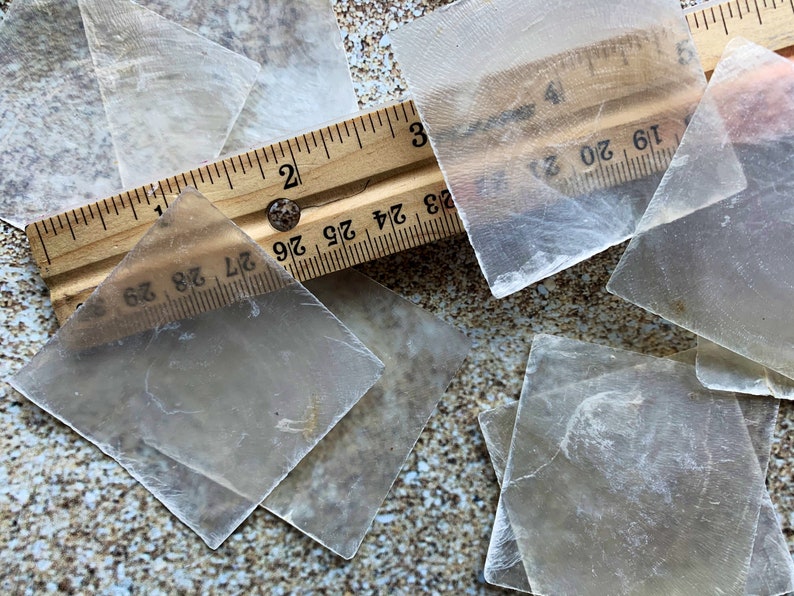 Capiz Shell Square 2 Square Capiz Flat Shells natural - Etsy
