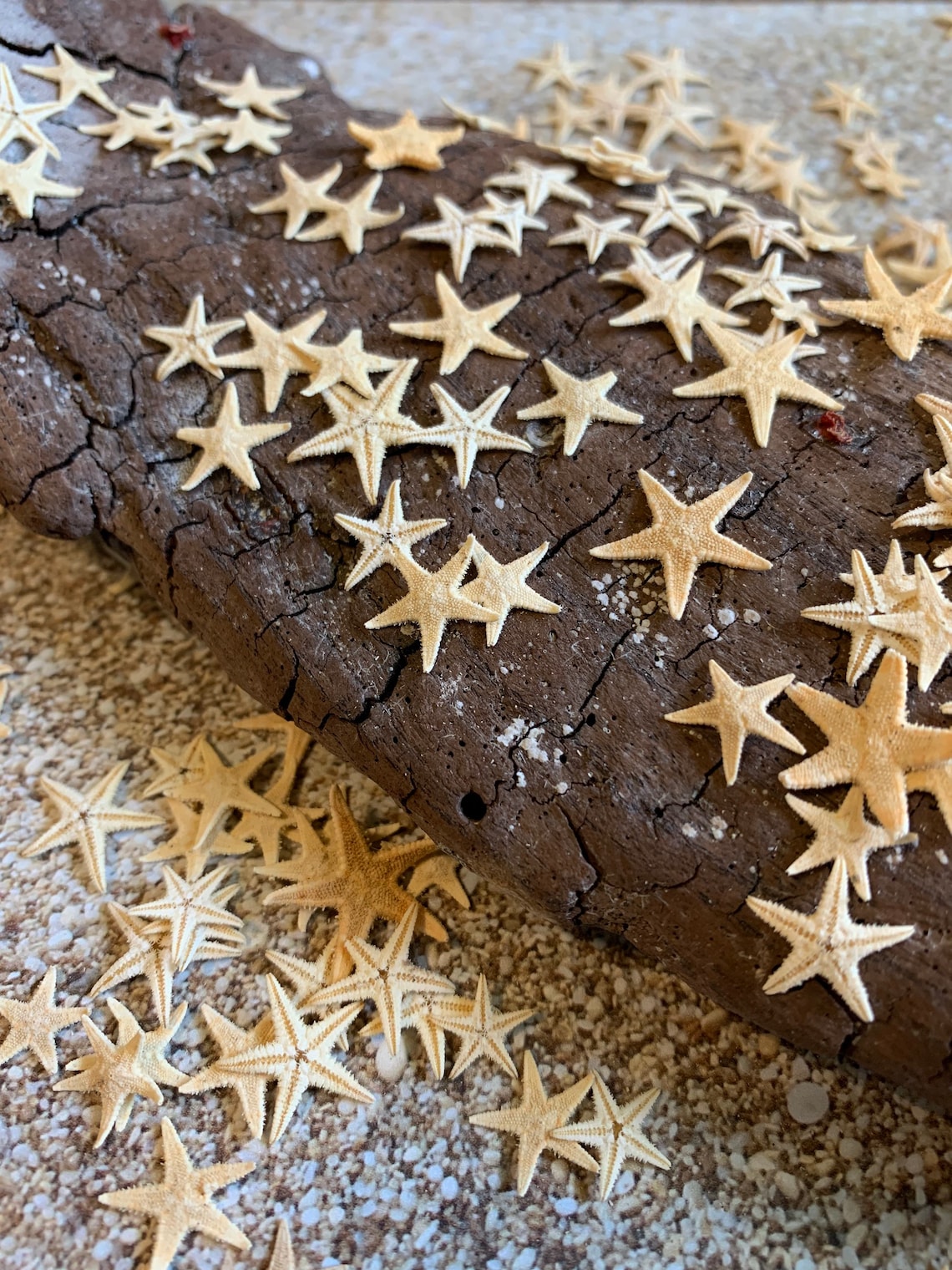 Tiny Starfish 1/43/4 Star Fish Craft Supply - Etsy