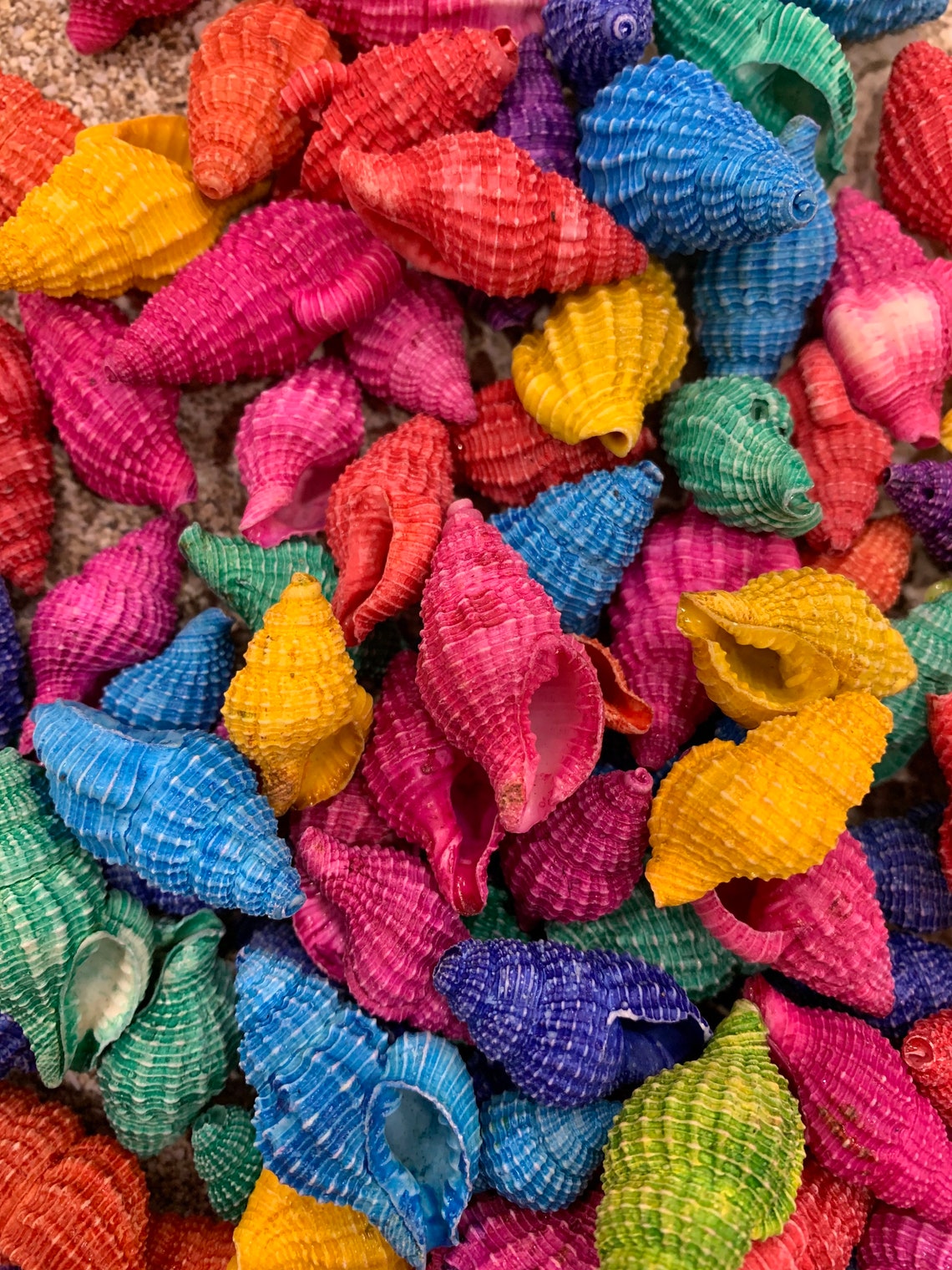 Mini Dyed Seashells, Small Shell Mix, Tiny Seashells, Crafting Shells ...