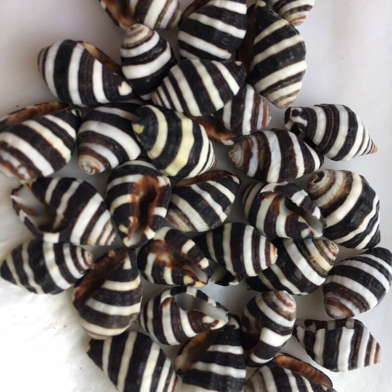 Beehive Jewelry - Etsy