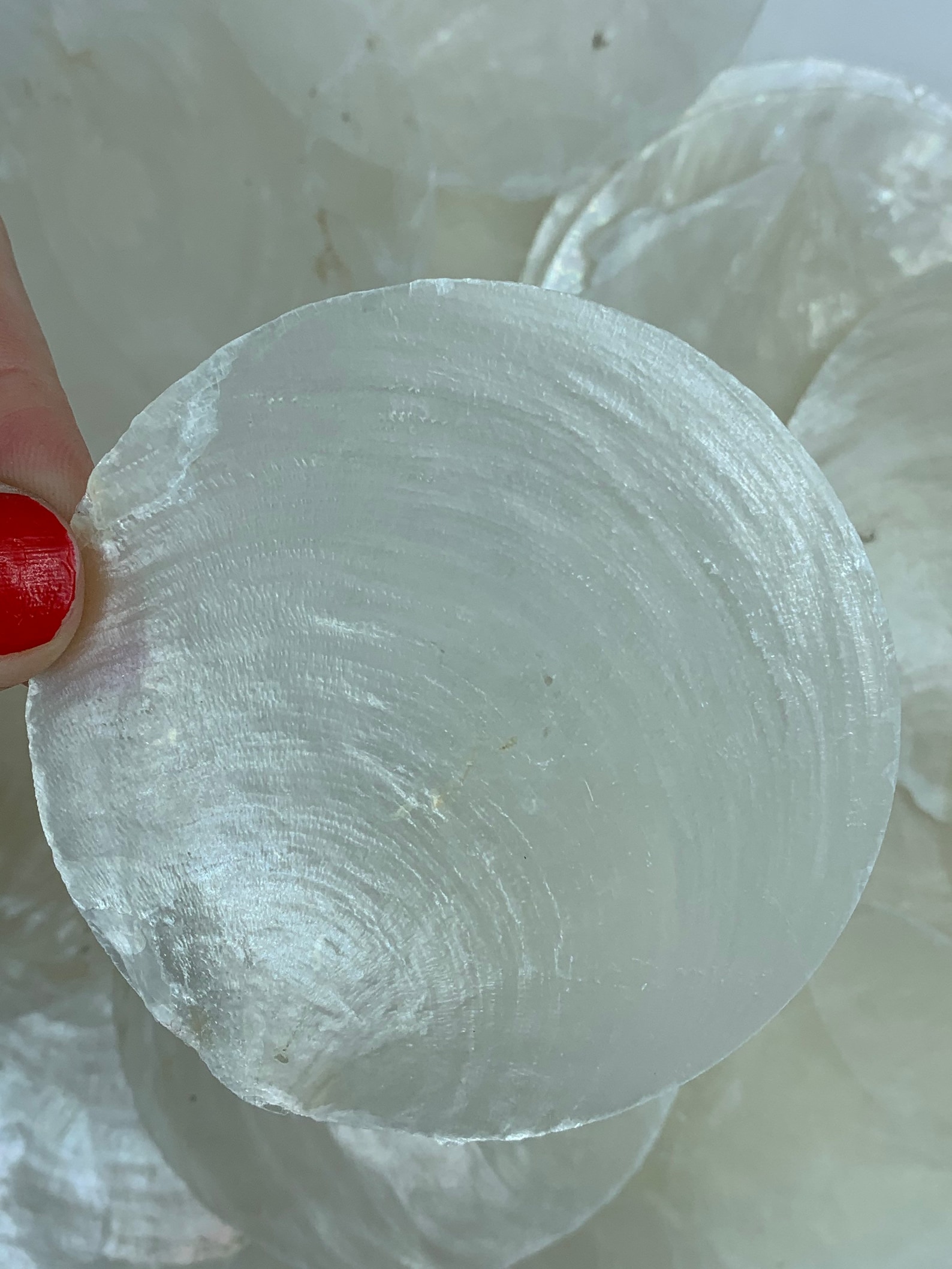 Capiz Shells Round 3 Flat Shells Natural Cream Capiz - Etsy