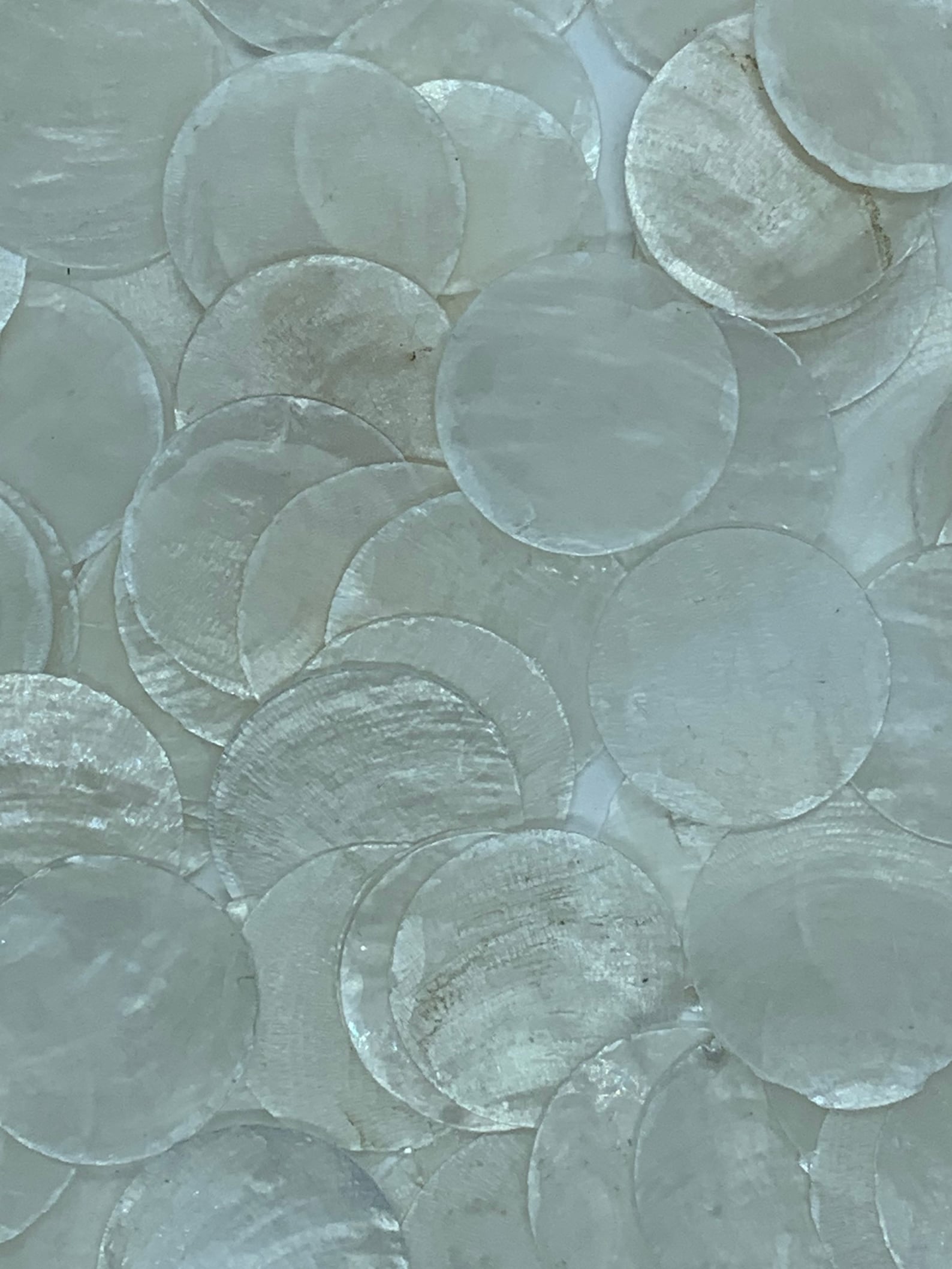 Capiz Shells Round 1 Flat Shells Natural Cream Capiz | Etsy