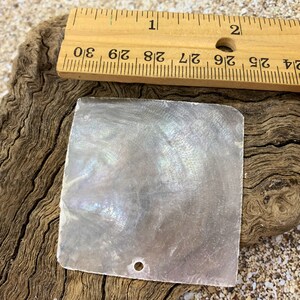 Capiz Shell Square 2 Square Capiz Flat Shells natural - Etsy