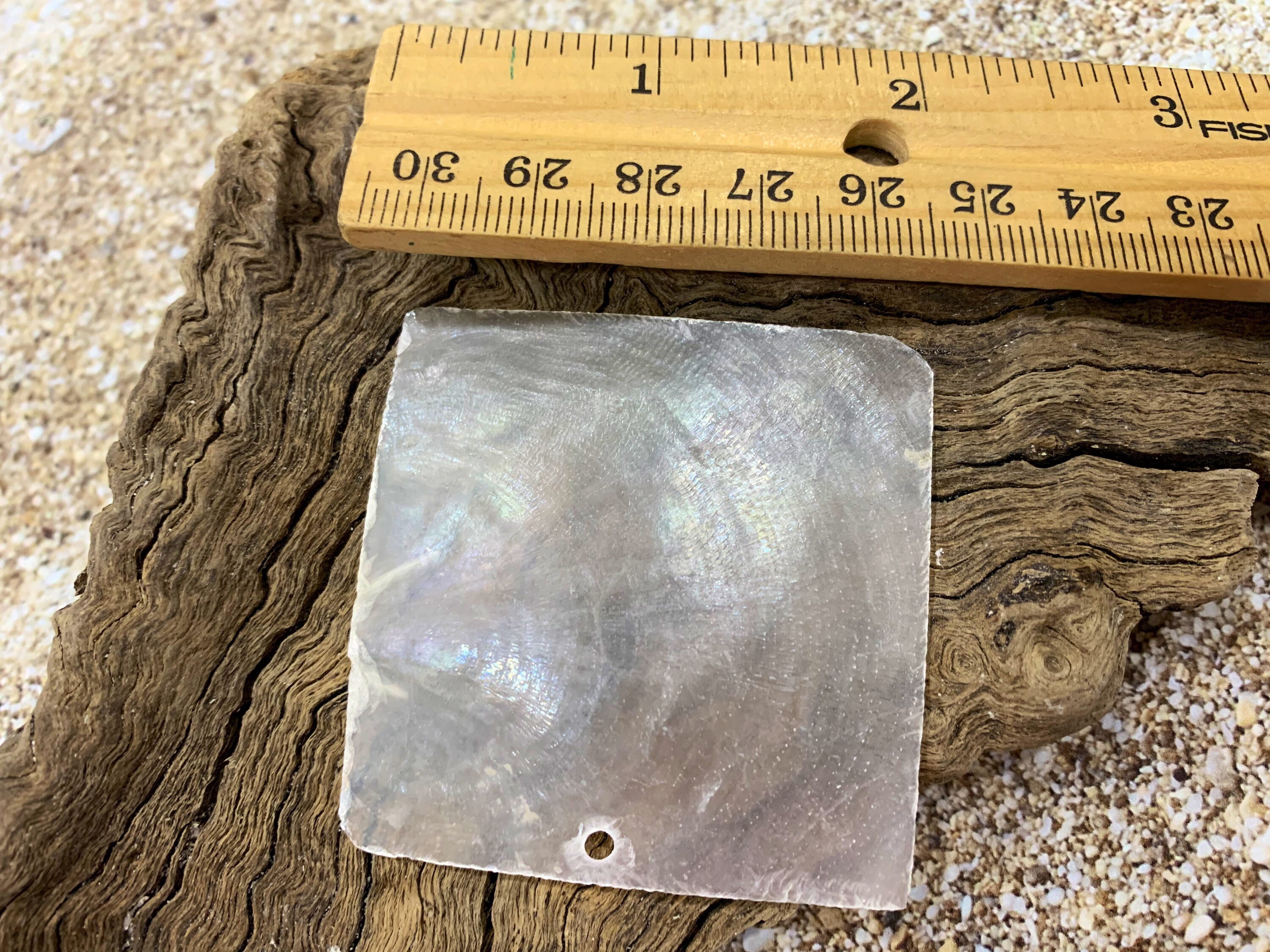 Capiz Shell Square 2 Square Capiz Flat shells Natural | Etsy