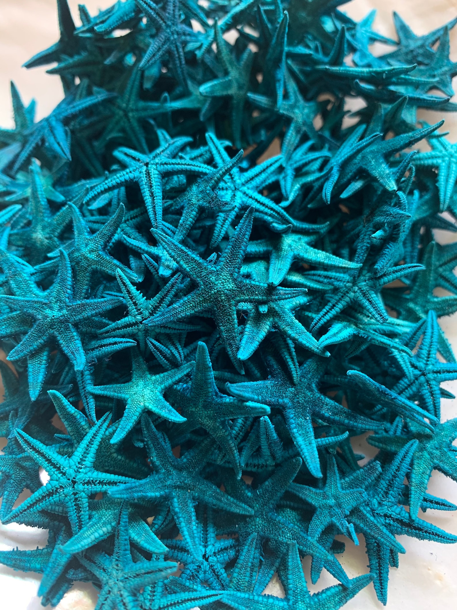 Blue Tiny Starfish .75-1 Starfish Craft Supplies - Etsy