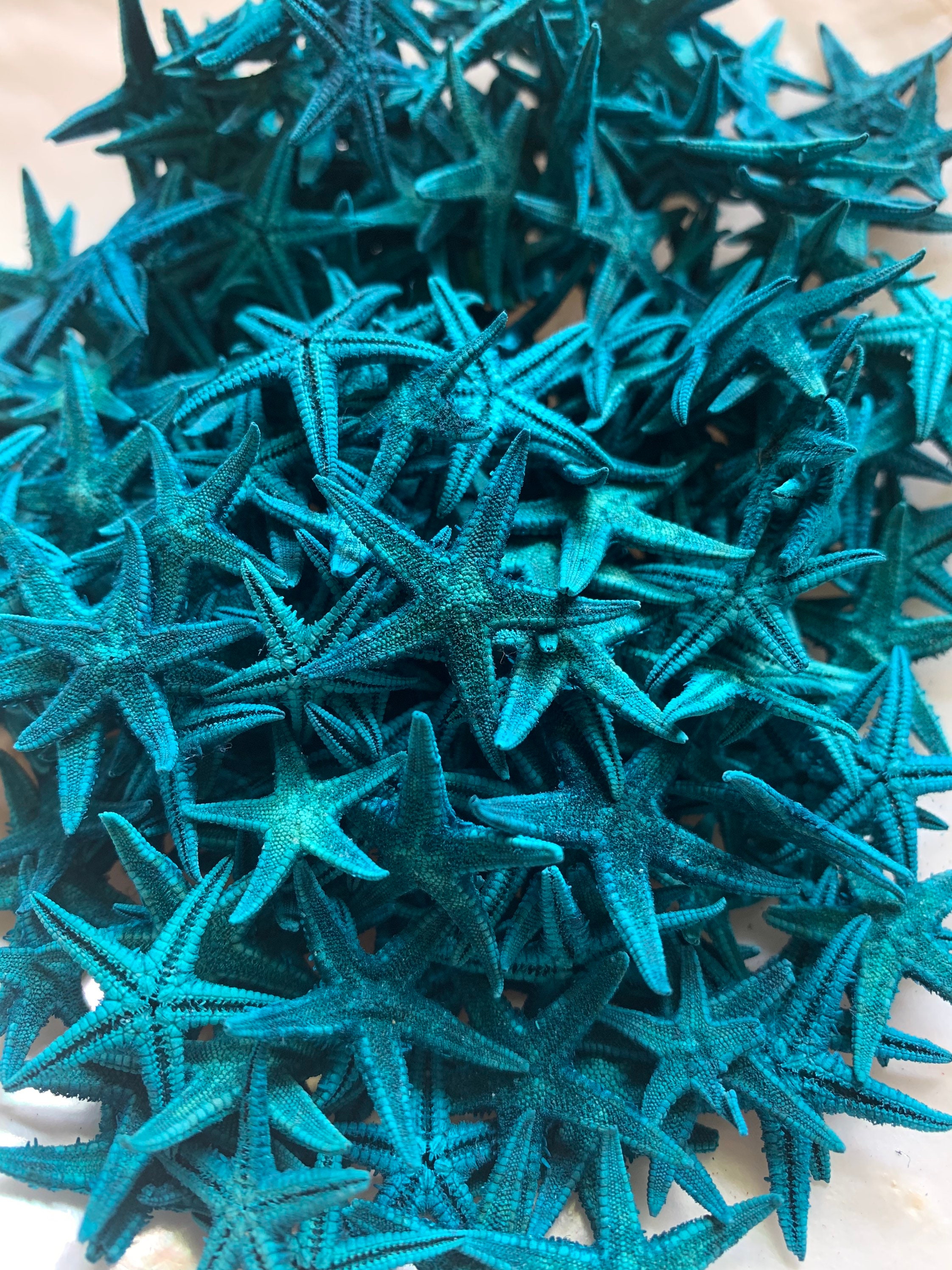 Blue Tiny Starfish .75-1 Starfish Craft Supplies - Etsy