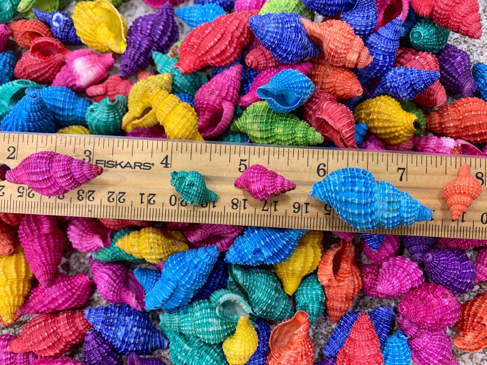 Mini Dyed Seashells, Small Shell Mix, Tiny Seashells, Crafting Shells ...