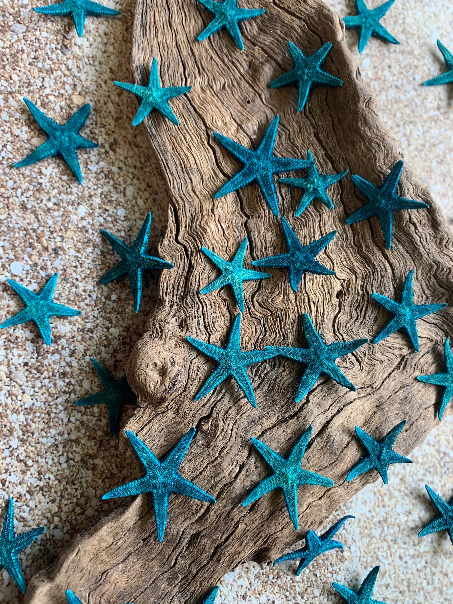 Blue Tiny Starfish .75-1 Starfish Craft Supplies - Etsy