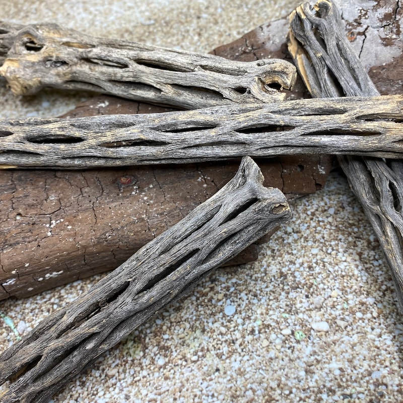 Cholla Wood - Etsy