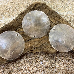 Multipack DRILLED 2.5 Capiz Shell Round Flat Seashell - Etsy