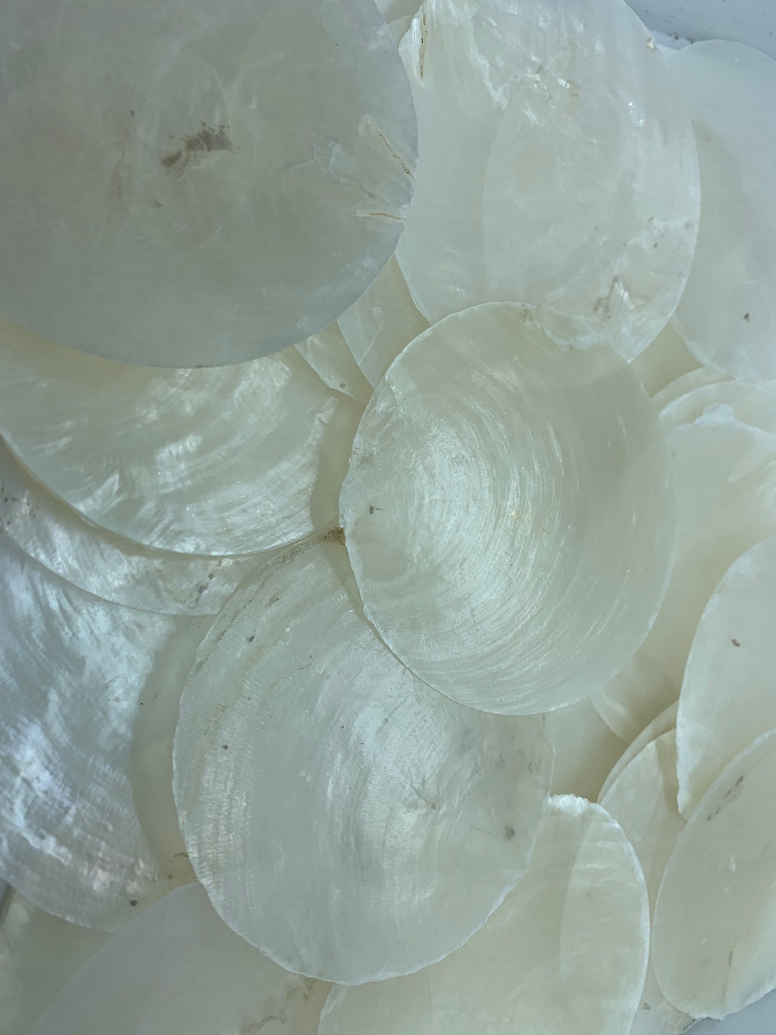 Capiz Shells Round 3 Flat Shells Natural Cream Capiz - Etsy