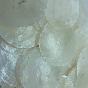 Capiz Shells Round 3" - Flat Shells - Natural Cream Capiz - Beach ...