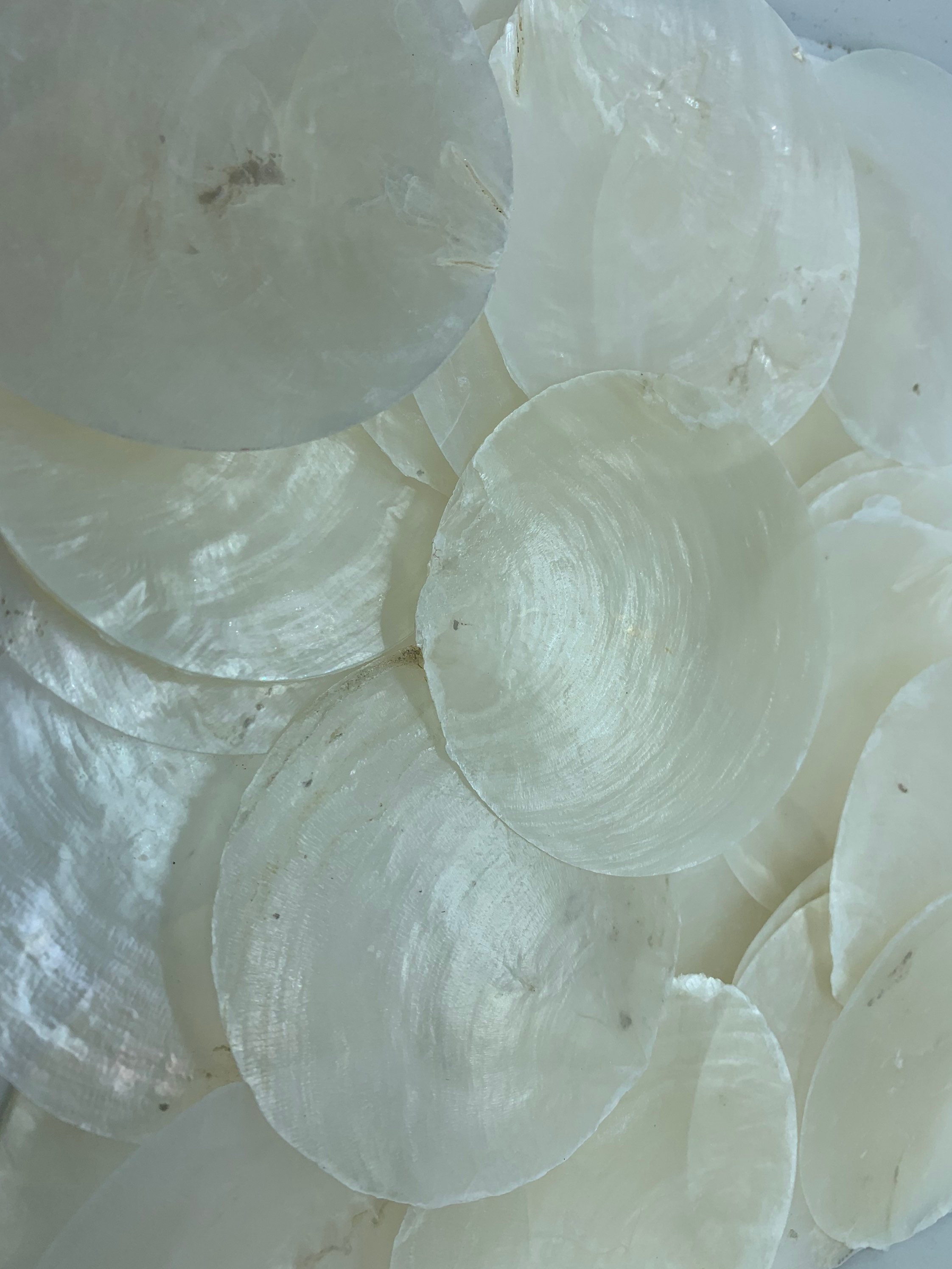 Capiz Shells Round 3 Flat Shells Natural Cream Capiz - Etsy