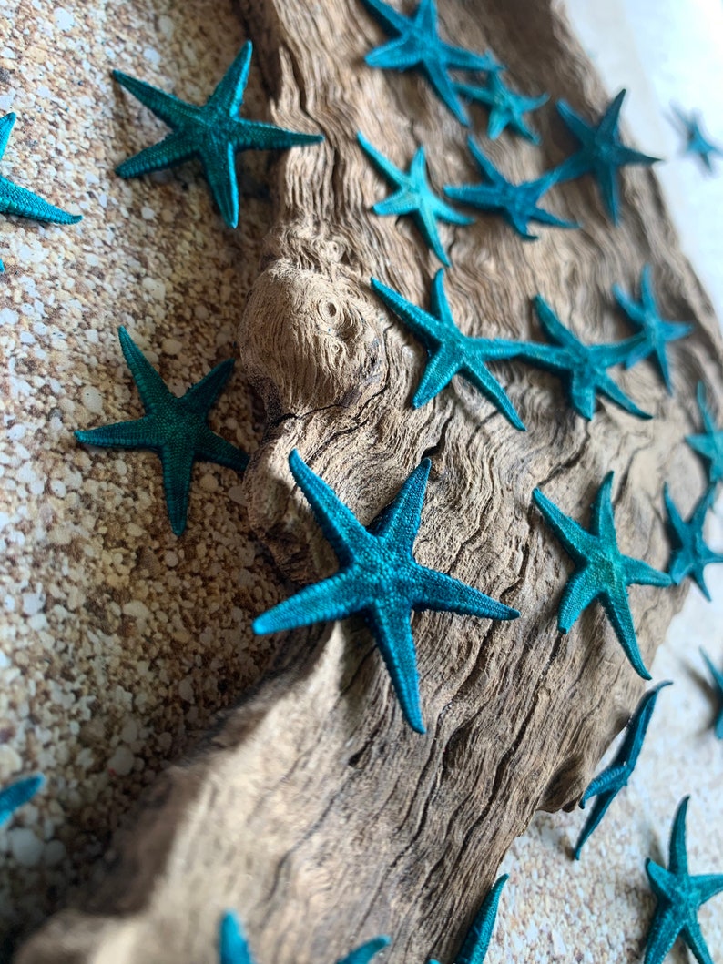 Blue Tiny Starfish .75-1 Starfish Craft Supplies - Etsy