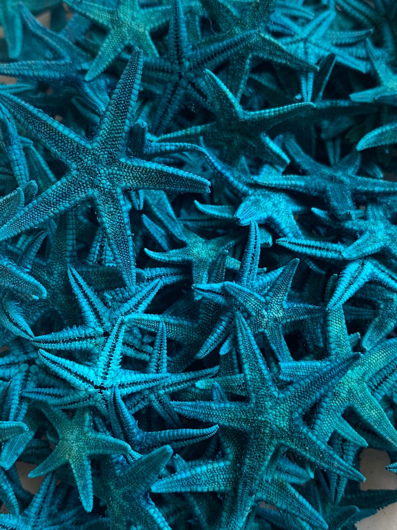 Blue Tiny Starfish .75-1 Starfish Craft Supplies - Etsy