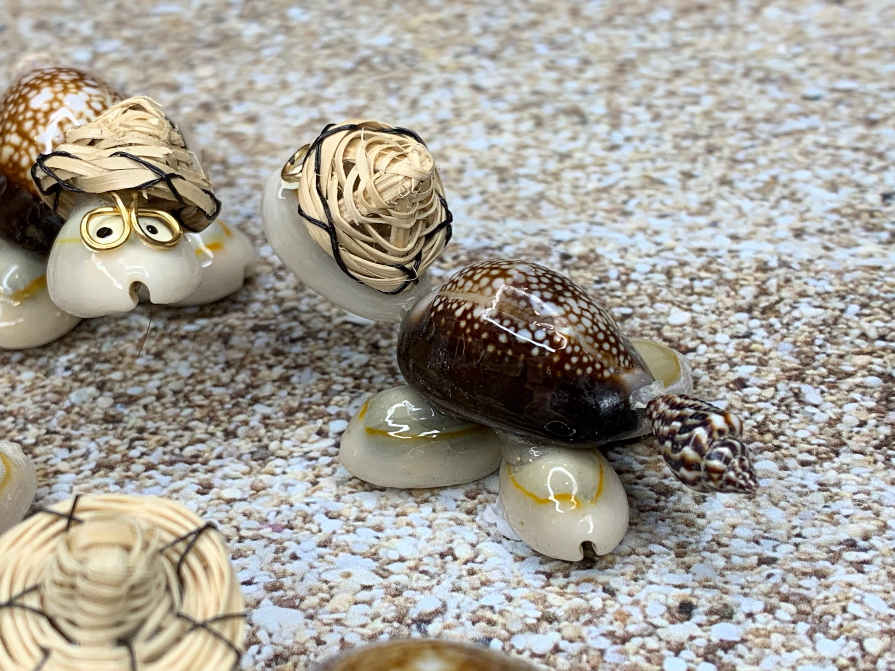 Seashell Cowrie Turtle Shell Tiny Turtle Made From Cowry Sea Shell ...