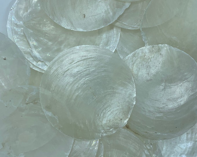 Capiz Shells Round 3 Flat Shells Natural Cream Capiz Beach Wedding ...