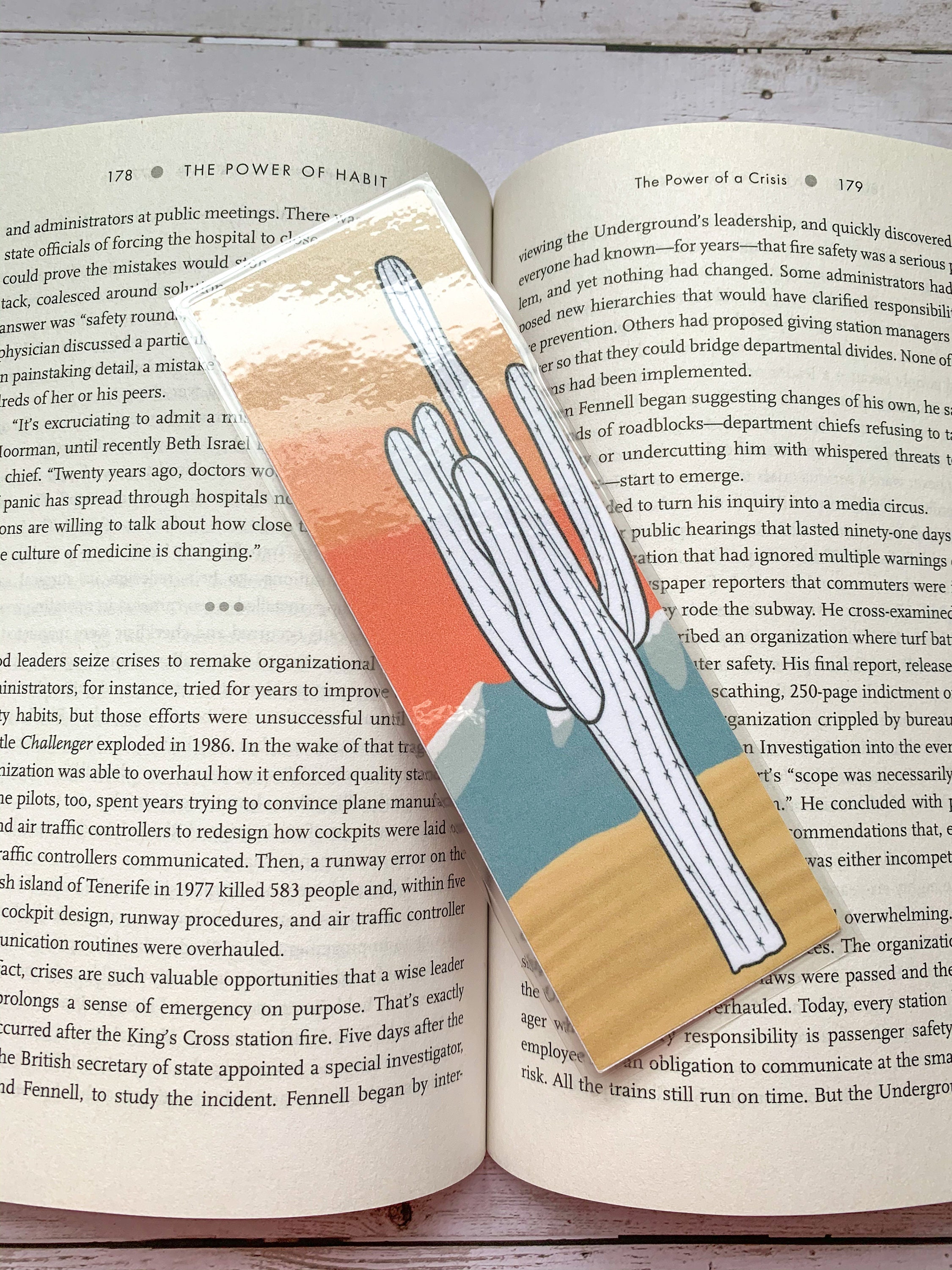 Laminated Cactus Bookmark Landscape Print Bookmark Perfect - Etsy