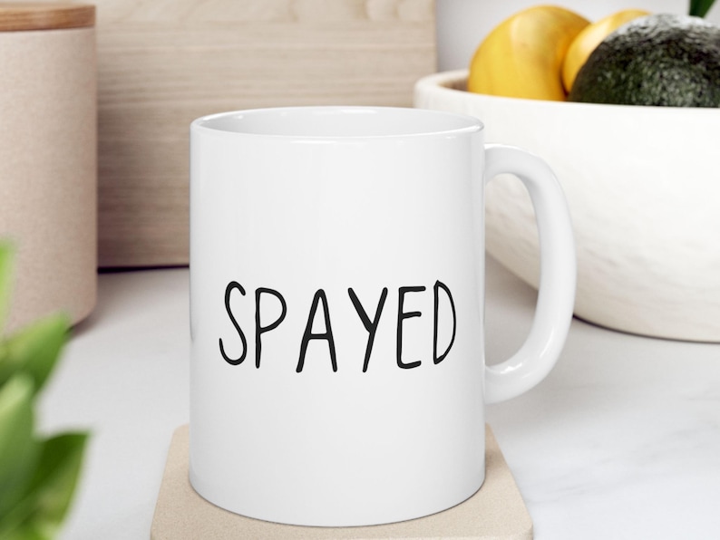 Funny Tubal Ligation Mug, Sterilization Coffee Mug, Sterilization ...