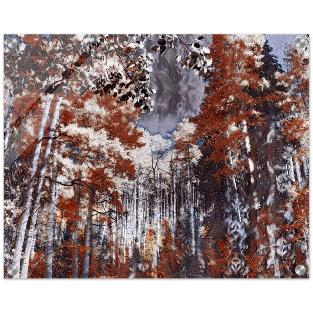Acrylic Print Fall Colors 2 Photo Art Wall Decor - Etsy