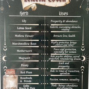 Spell Jar Bar - Etsy