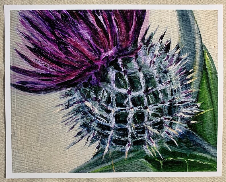 Scottish Thistle Print - Etsy