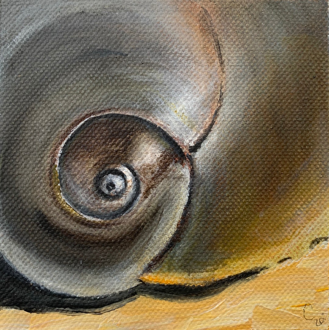 Shell 2, Shark Eye Original Acrylic Painting - Etsy