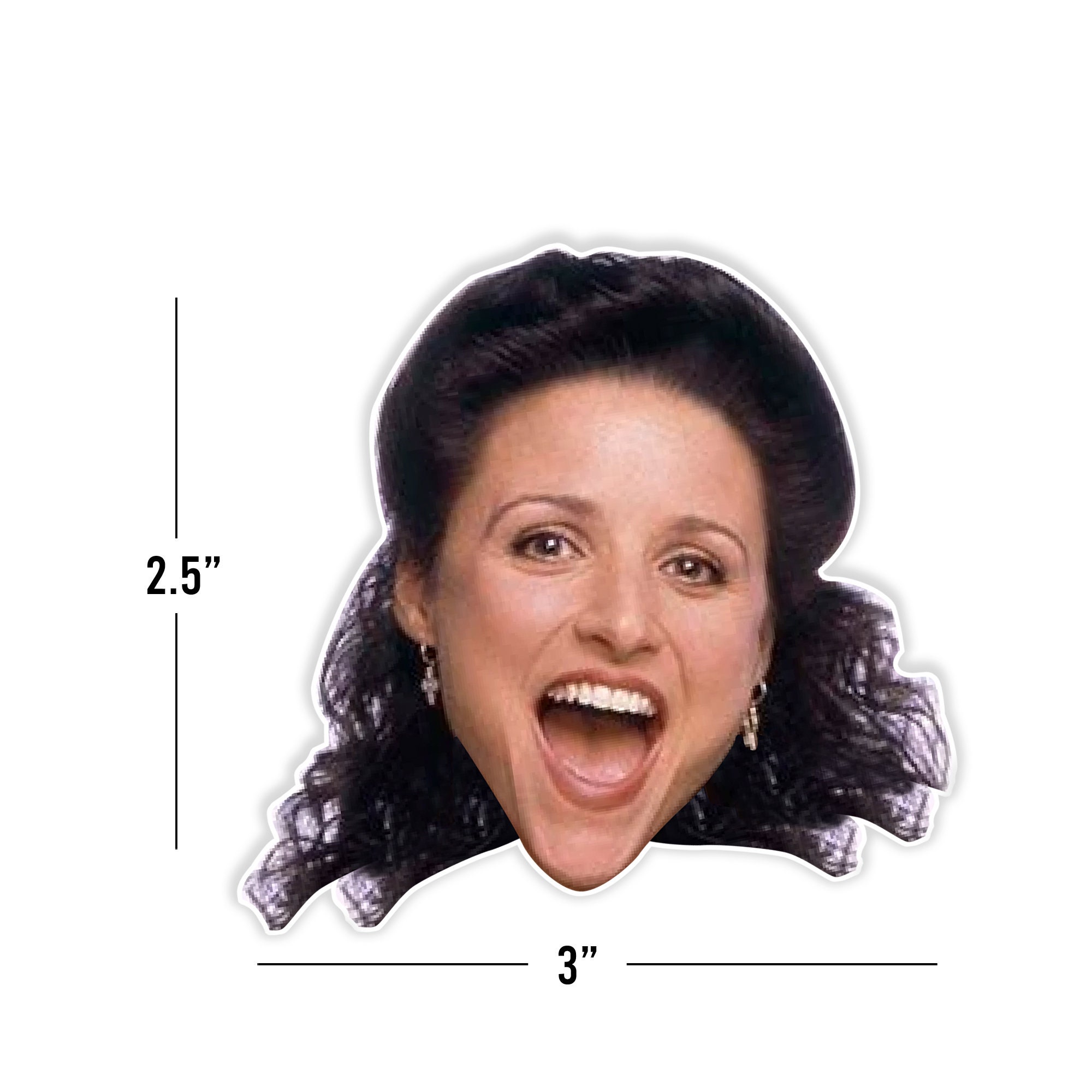 Seinfeld Character Faces Bumper Sticker 3 x - Etsy