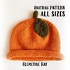 Cheese Crochet Pattern, Crochet Cheese Pattern, How to Crochet Cheese ...