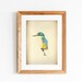 A4 Vintage Style Printable Art Watercolour New Zealand Native Bird ...