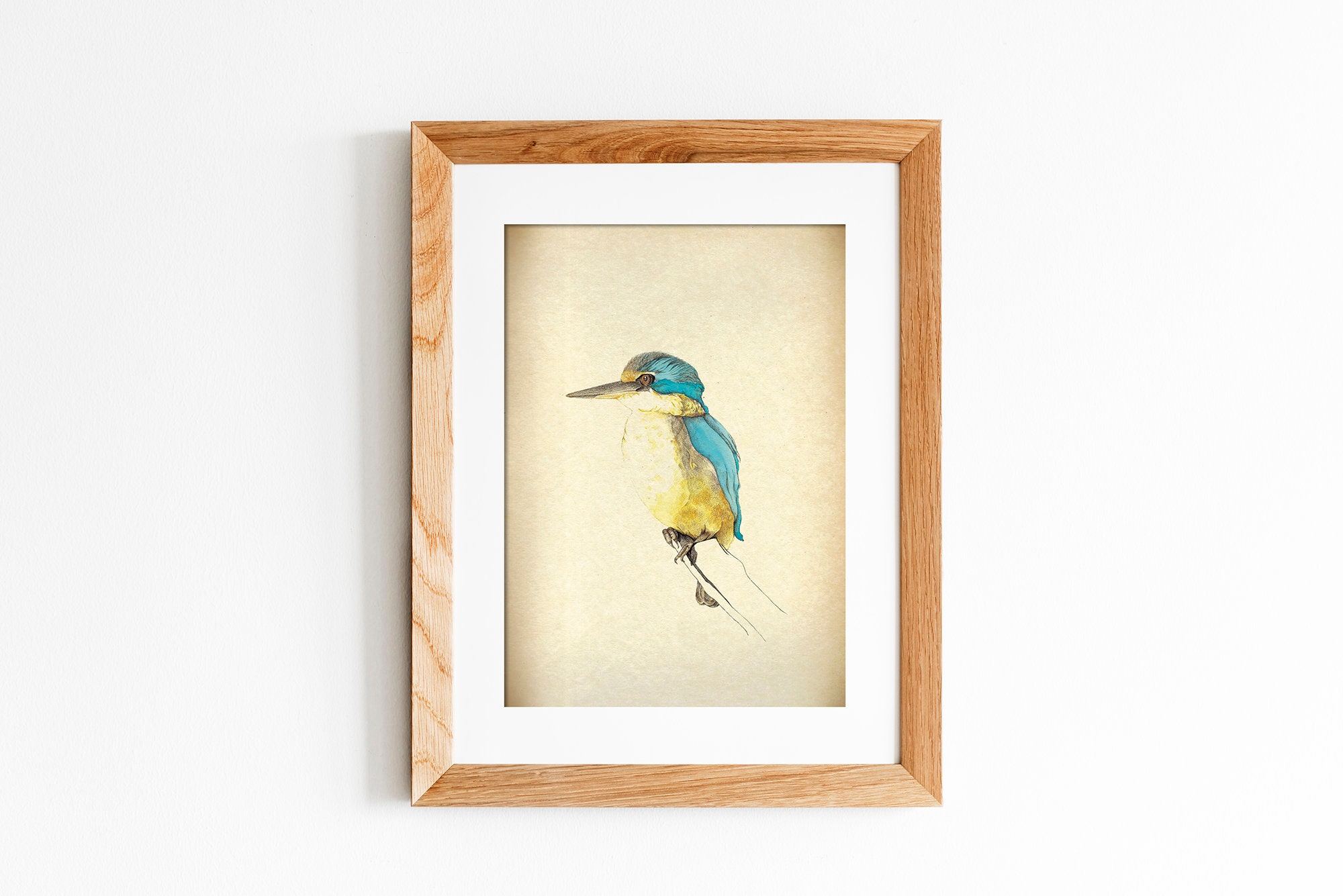A4 Vintage Style Printable Art Watercolour New Zealand Native Bird ...