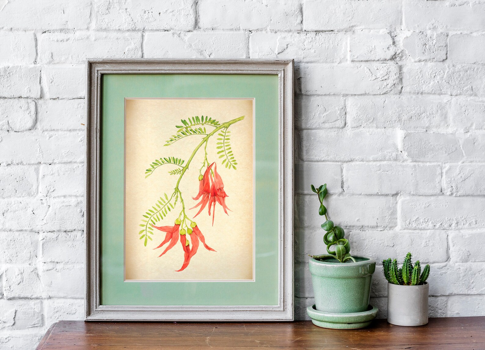 Kaka Beak Watercolour Painting: Vintage Style New Zealand Botanical Art ...