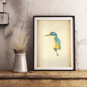 A4 Vintage Style Printable Art Watercolour New Zealand Native Bird ...