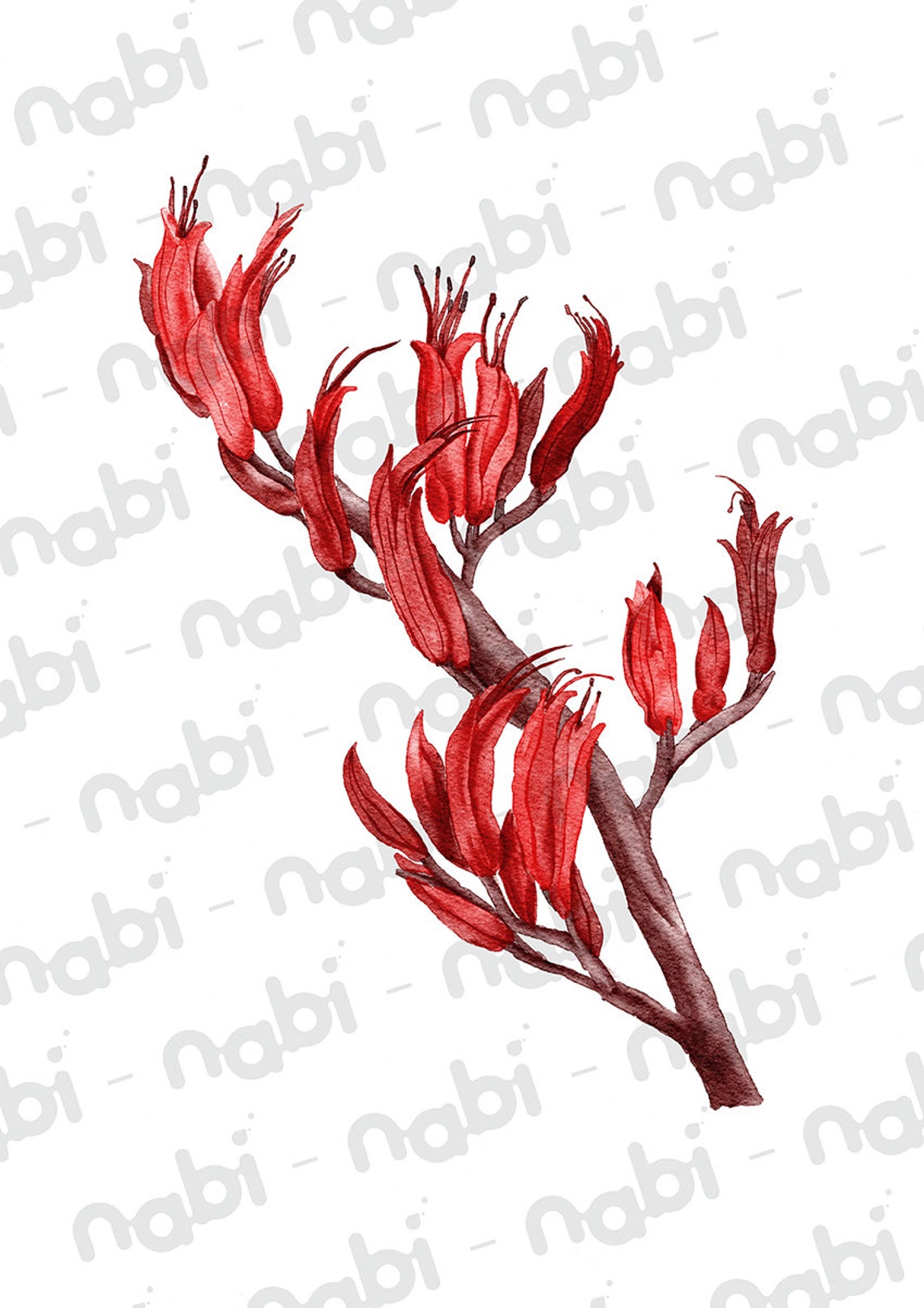 Set of 3 New Zealand Native Plant 'flax', 'manuka' and 'fuchsia ...