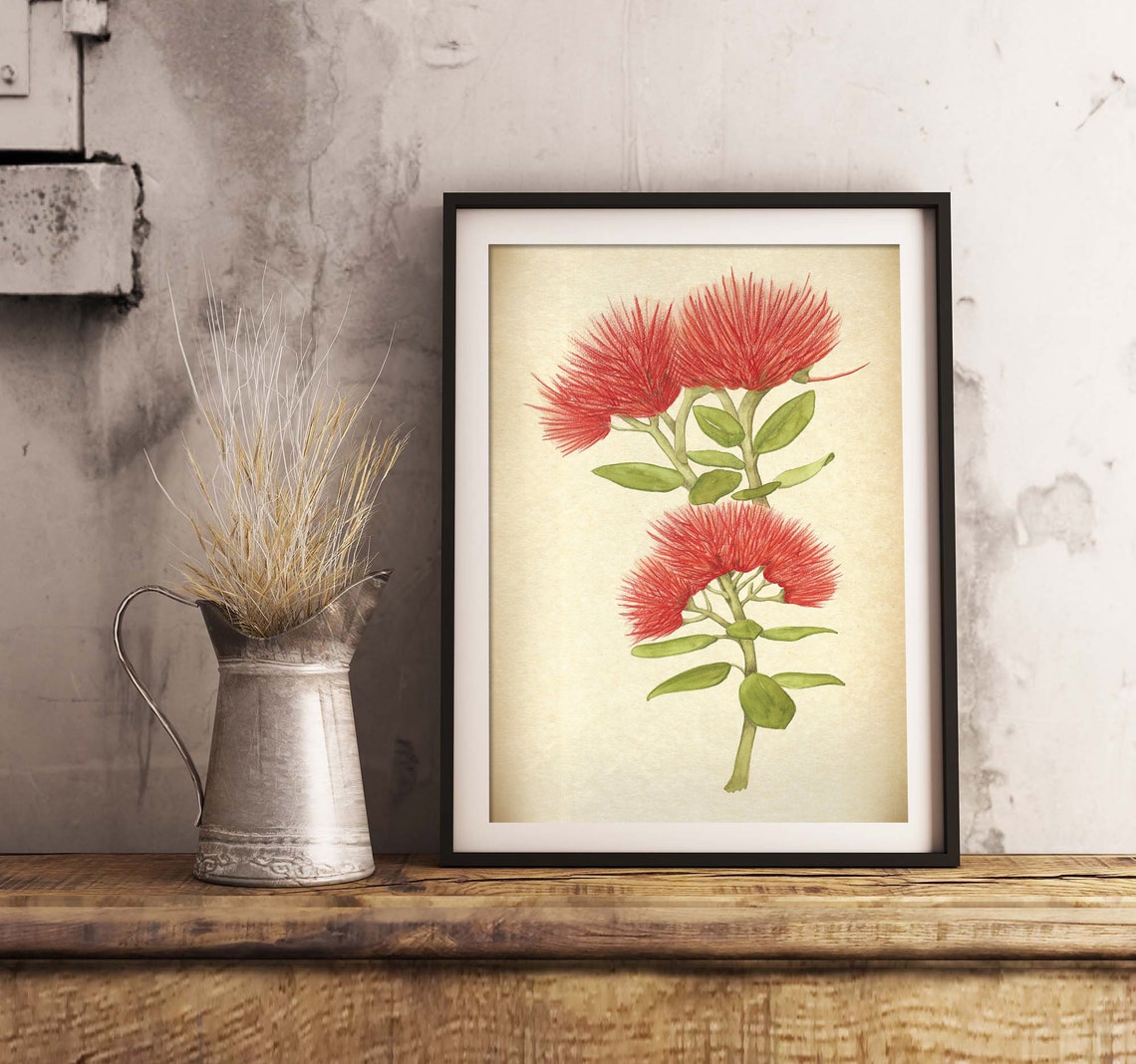A4 Vintage Style Printable Botanical Art New Zealand Native - Etsy New ...
