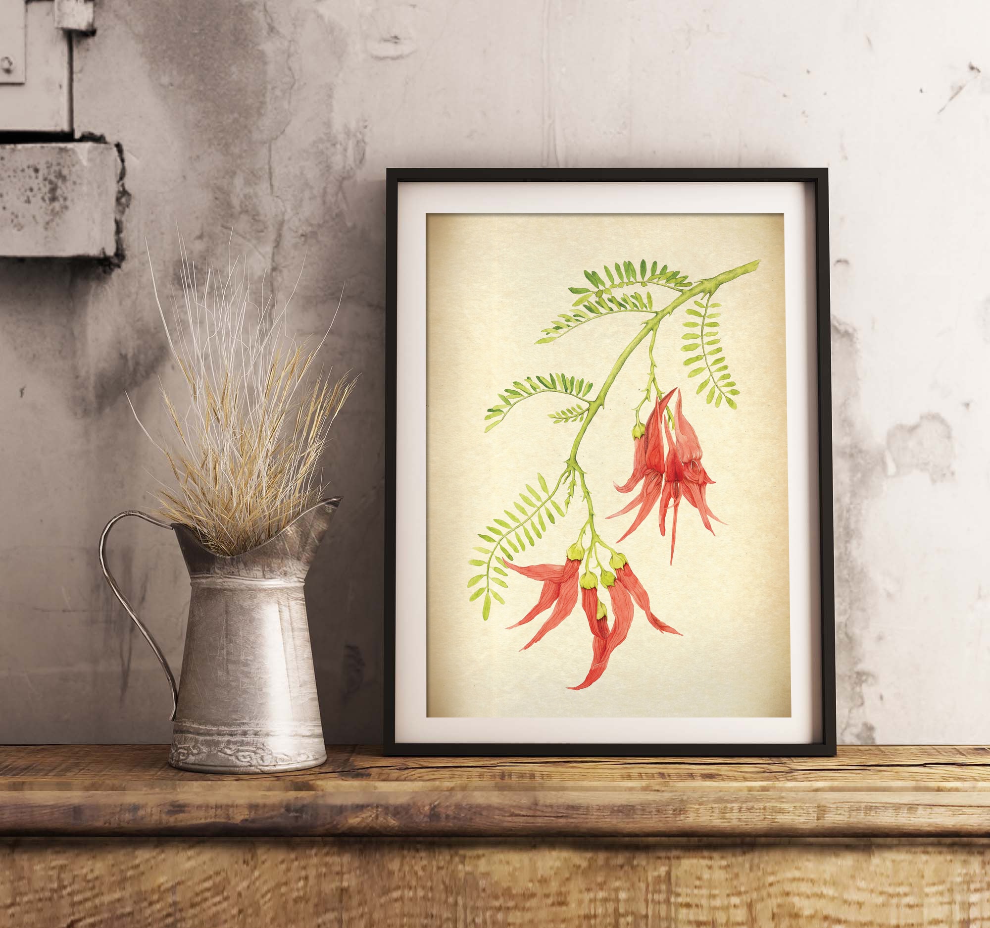 Kaka Beak Watercolour Painting: Vintage Style New Zealand Botanical Art ...