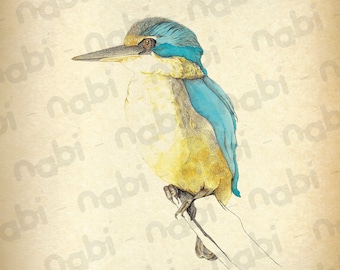 A3 Vintage Style Printable Botanical Art New Zealand Native - Etsy