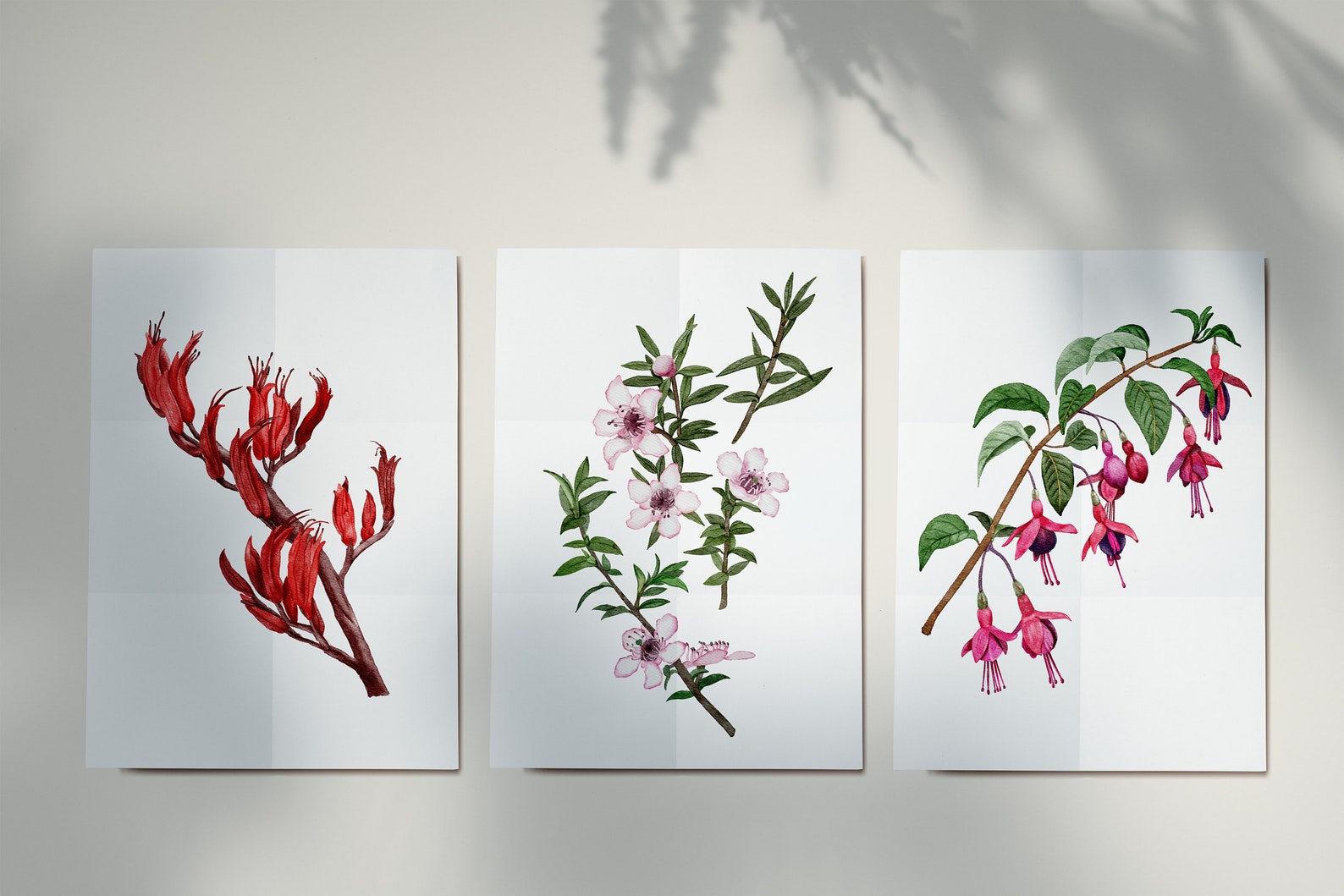 Set of 3 New Zealand Native Plant 'flax', 'manuka' and 'fuchsia ...
