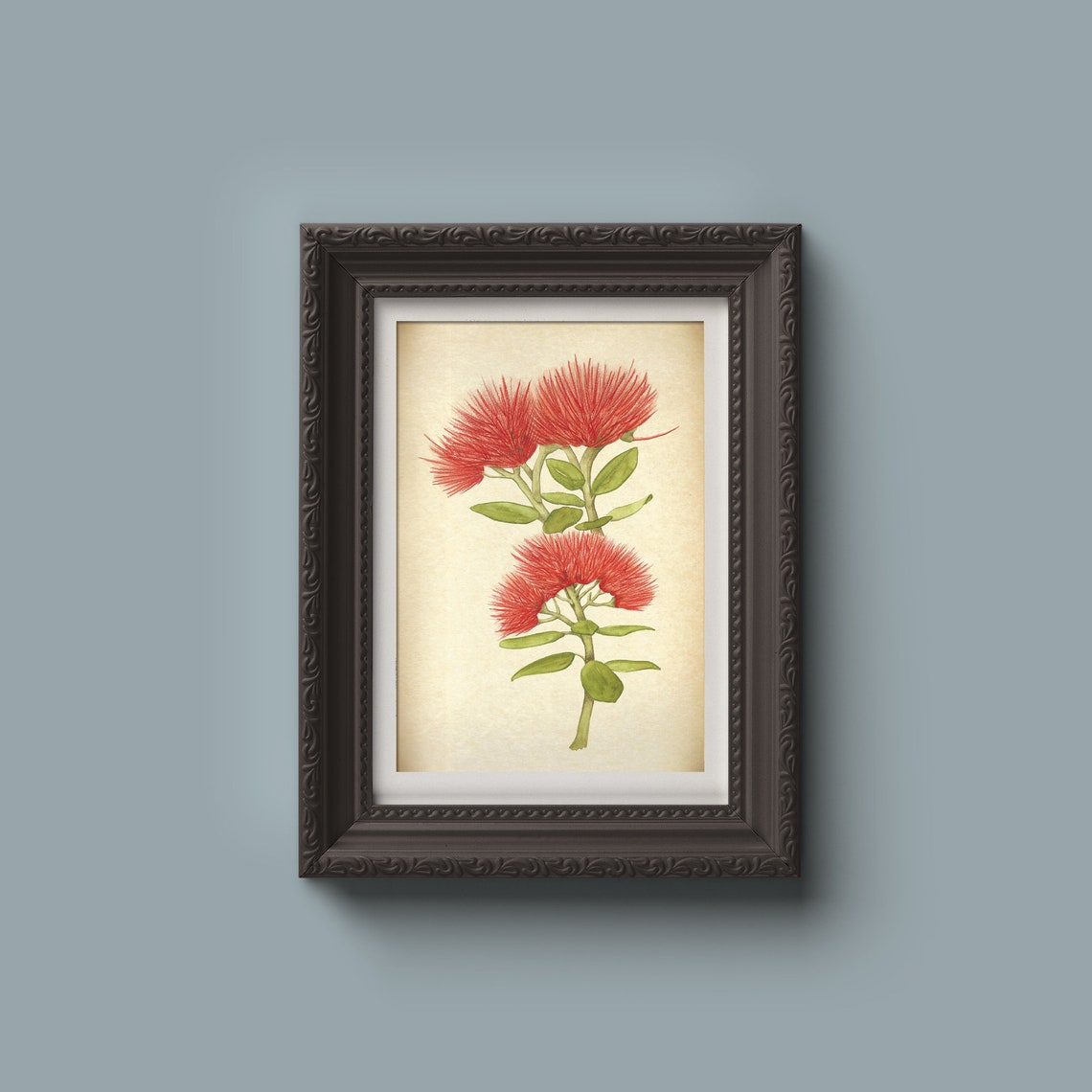 A4 Vintage Style Printable Botanical Art New Zealand Native Plant ...