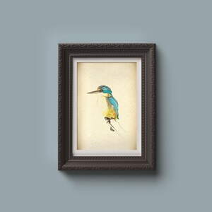 A4 Vintage Style Printable Art Watercolour New Zealand Native Bird ...