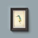 A4 Vintage Style Printable Art Watercolour New Zealand Native Bird ...