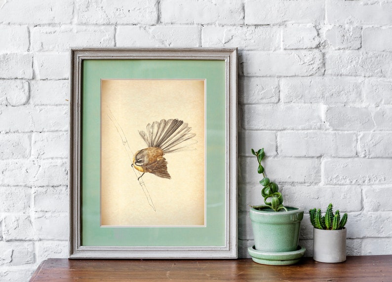 A4 Vintage Style Printable Art Watercolour New Zealand Native Bird ...