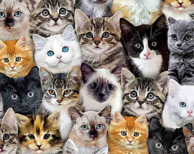 SALE Packed Mixed Breeds of Cats- Timeless Treasures - Wild Cat ...