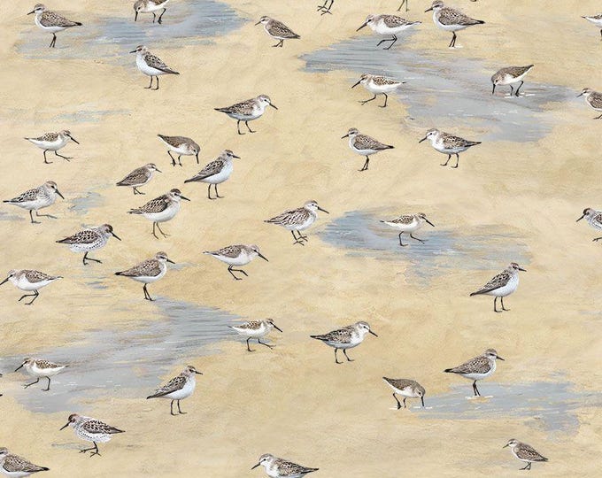 SALE Sandpipers - Timeless Treasures - Let Your Light Shine Collection ...