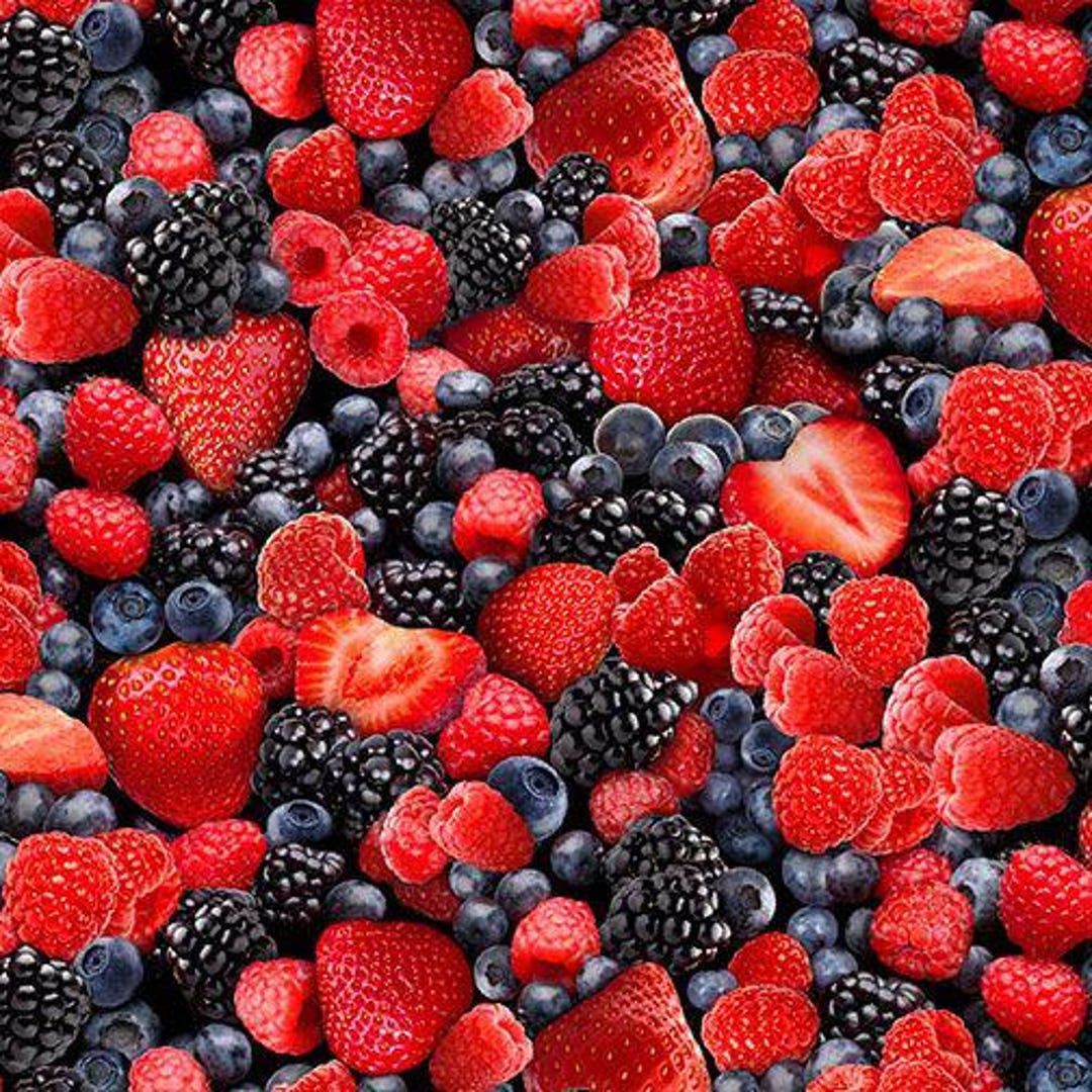 SALE Mixed Berries - Fresh Fruit Collection - Timeless Treasures ...