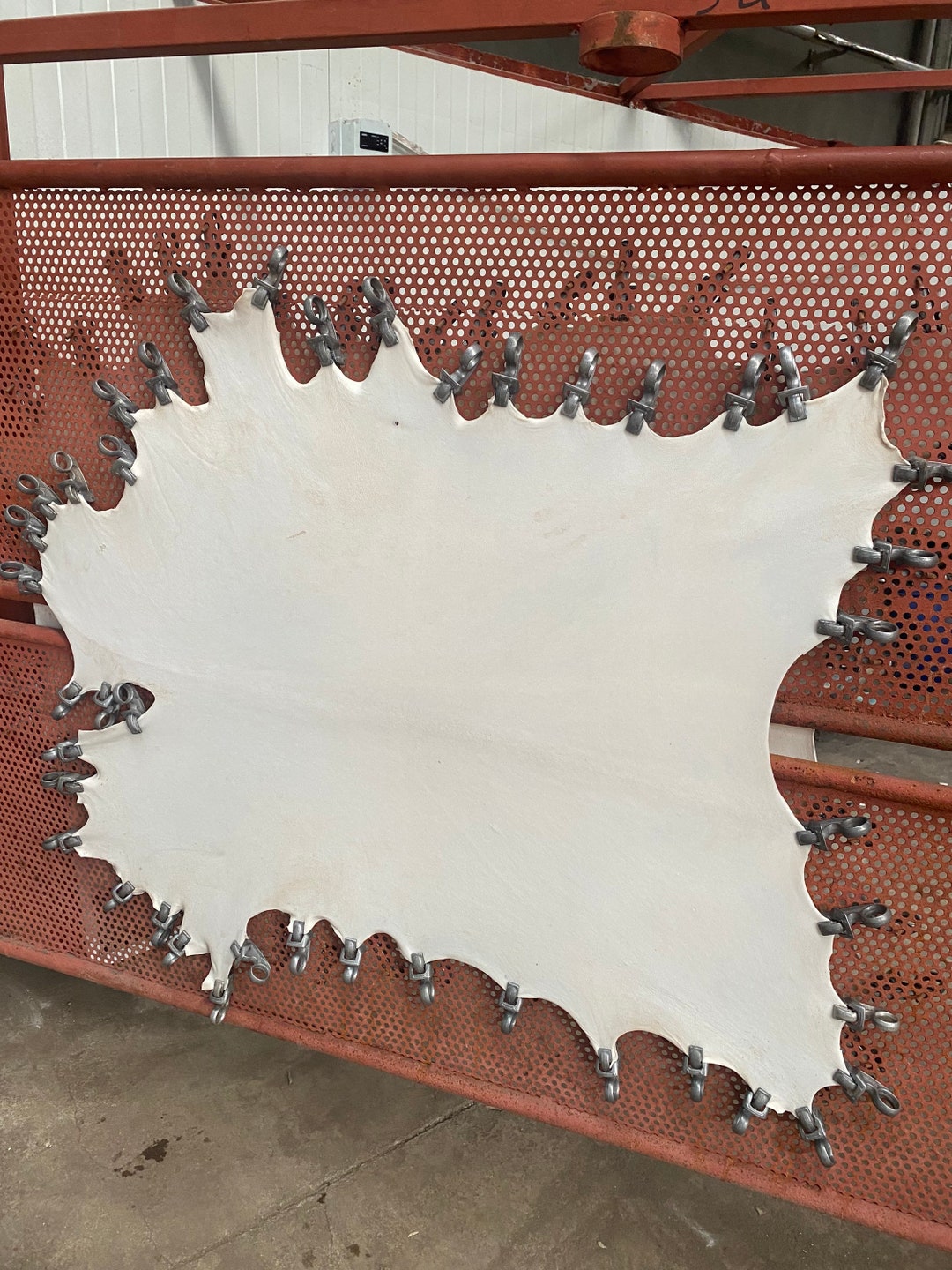 Full Hide Natural Goatskin Parchment, Genuine Goatskin,parchment ...