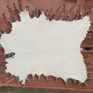 5 Pcs Full Hide Natural Goatskin Parchment,genuine Goatskin,parchment ...