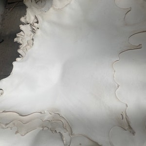 5 Pcs Full Hide Natural Goatskin Parchment,genuine Goatskin,parchment ...