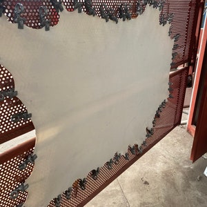 Full Hide Natural Goatskin Parchment, Genuine Goatskin,parchment ...