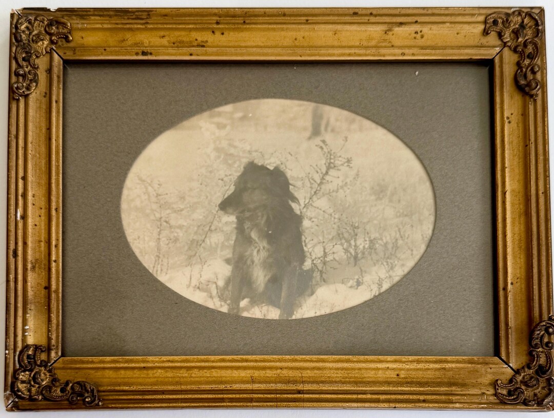 Old Faded Dog Photograph Vintage Western Country Landscape Photo Aged ...